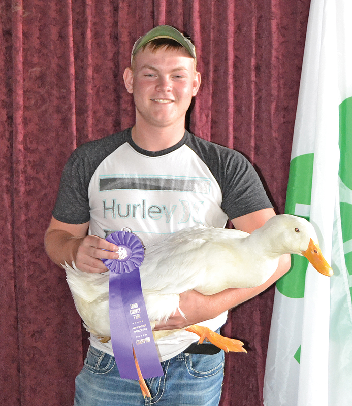 2018 Dunn County Fair Results are in – The Tribune Press Reporter