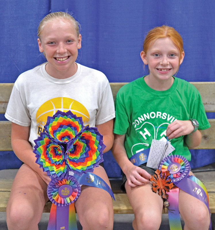 2018 Dunn County Fair Results are in – The Tribune Press Reporter