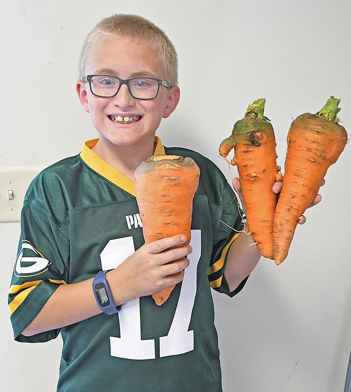 Big Carrots – The Tribune Press Reporter