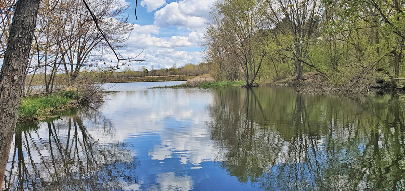 Colfax Red Cedar Preserve and Recreation Area open house scheduled for ...