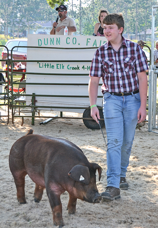 Pig sells for $43 per pound at Dunn County Fair meat animal auction ...