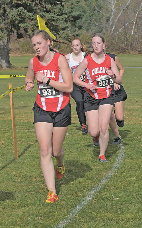 Heidorn wins sectional crown, Colfax girls return to state cross ...