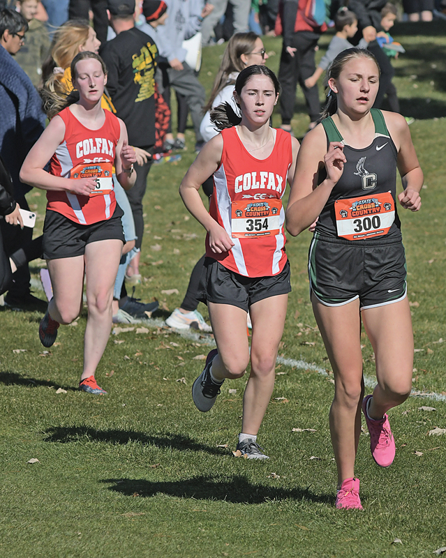 Colfax girls complete cross country season at state meet, Heidorn earns ...