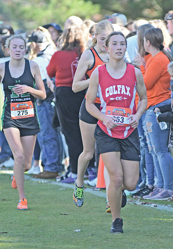 Colfax girls complete cross country season at state meet, Heidorn earns ...