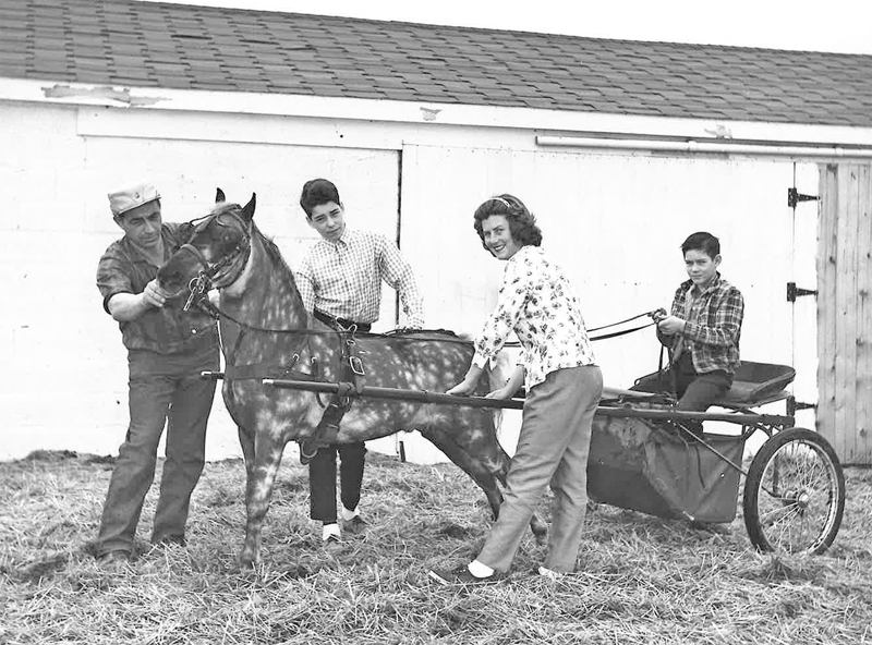 REMEMBRANCES OF CHRISTMASES PAST – Shirley Hetzel: “I have been blessed ...